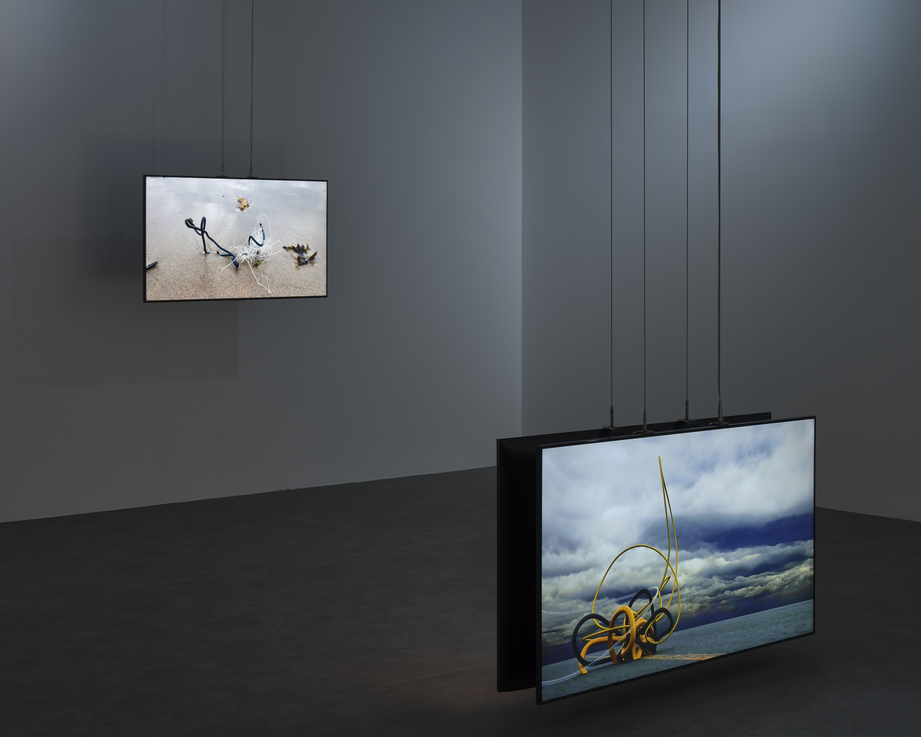 Locky Morris / current/upcoming